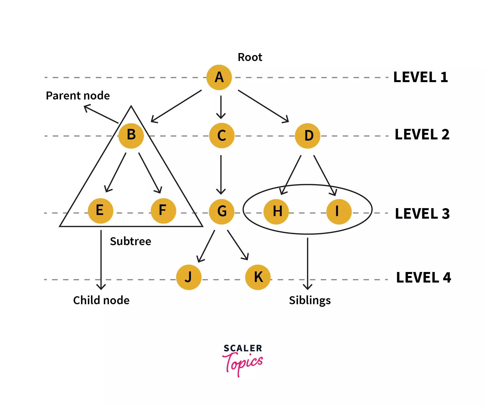 Tree Data Structure Scaler Topics
