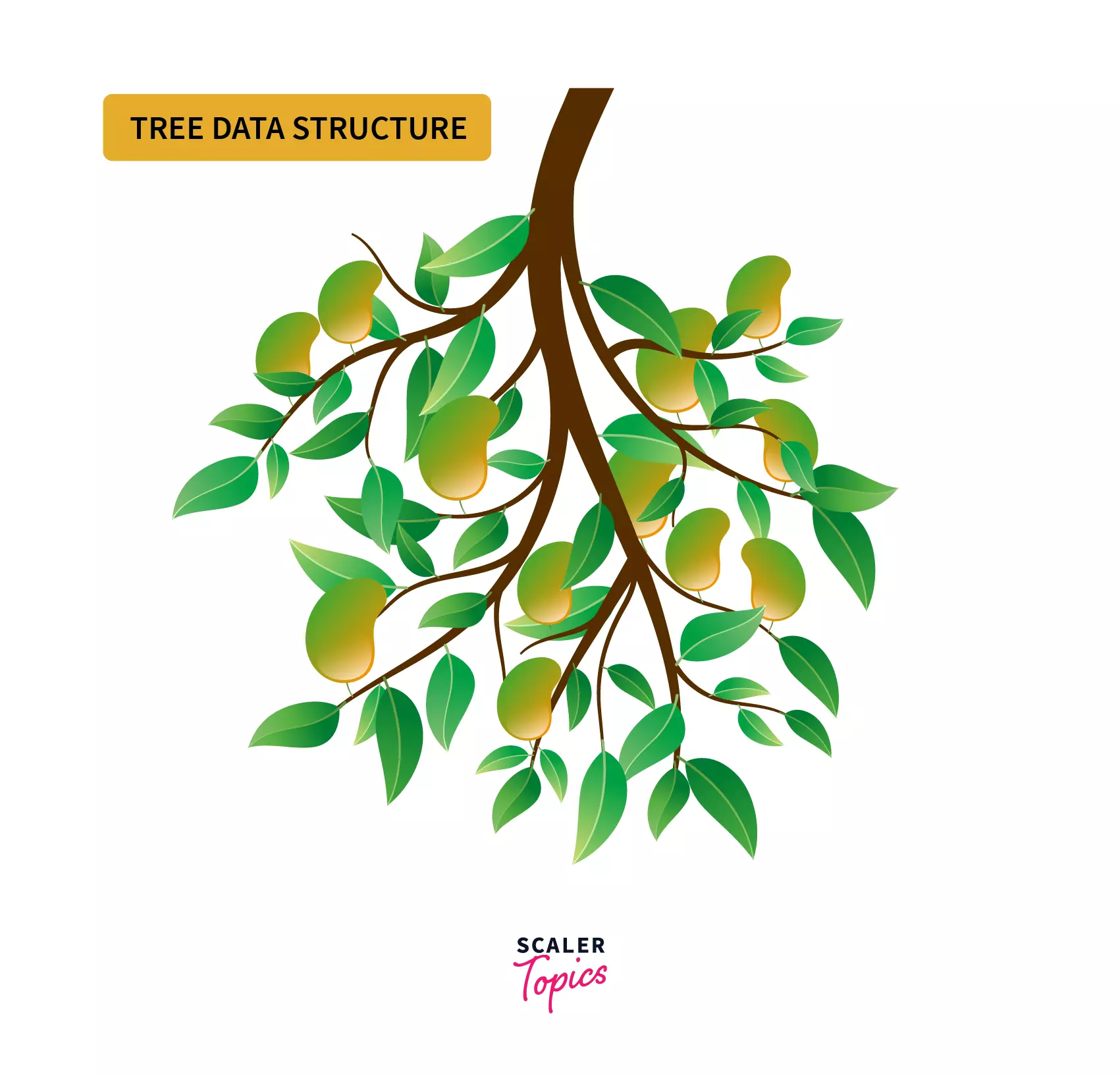 Tree Data Structure Scaler Topics